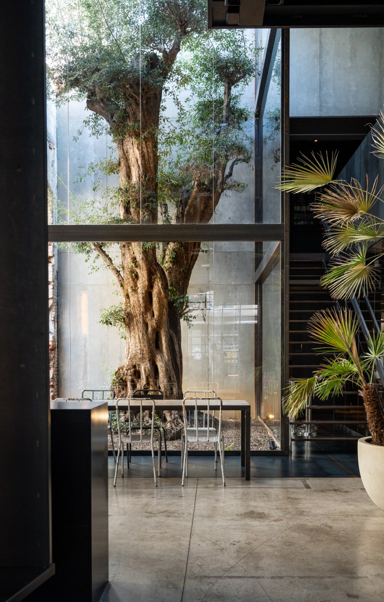 Moebius: The Italian Bar Making Waves in Milan and Beyond – The Dram Attic